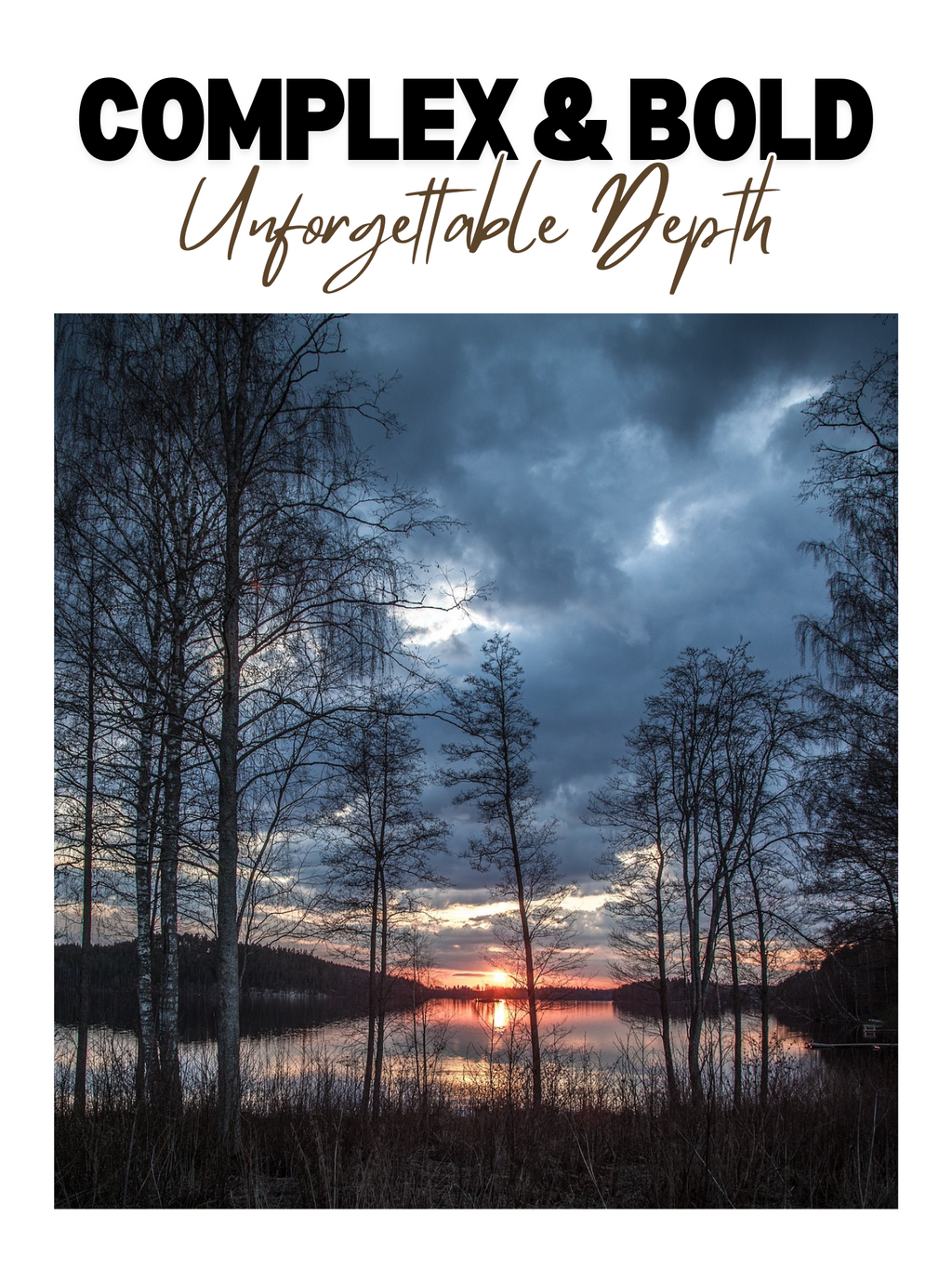 COMPLEX & BOLD SCENTS – OUD COLLECTION™