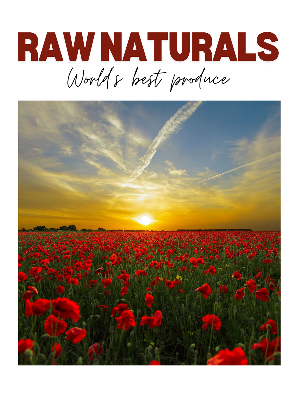 RAW NATURAL COLLECTION – OUD COLLECTION™